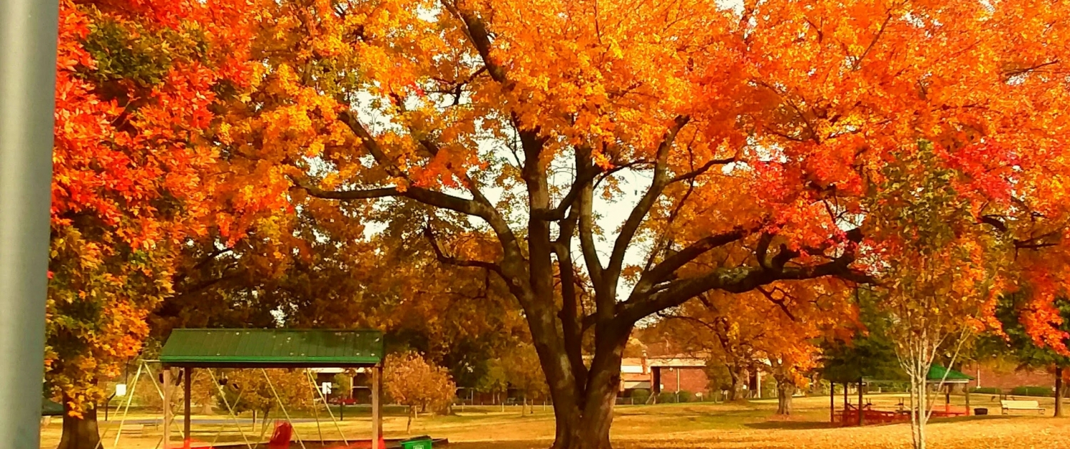City of Shively | Third Class City Located in Jefferson County, Kentucky